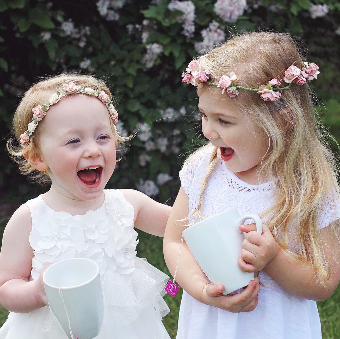 Collections – Big T NYC