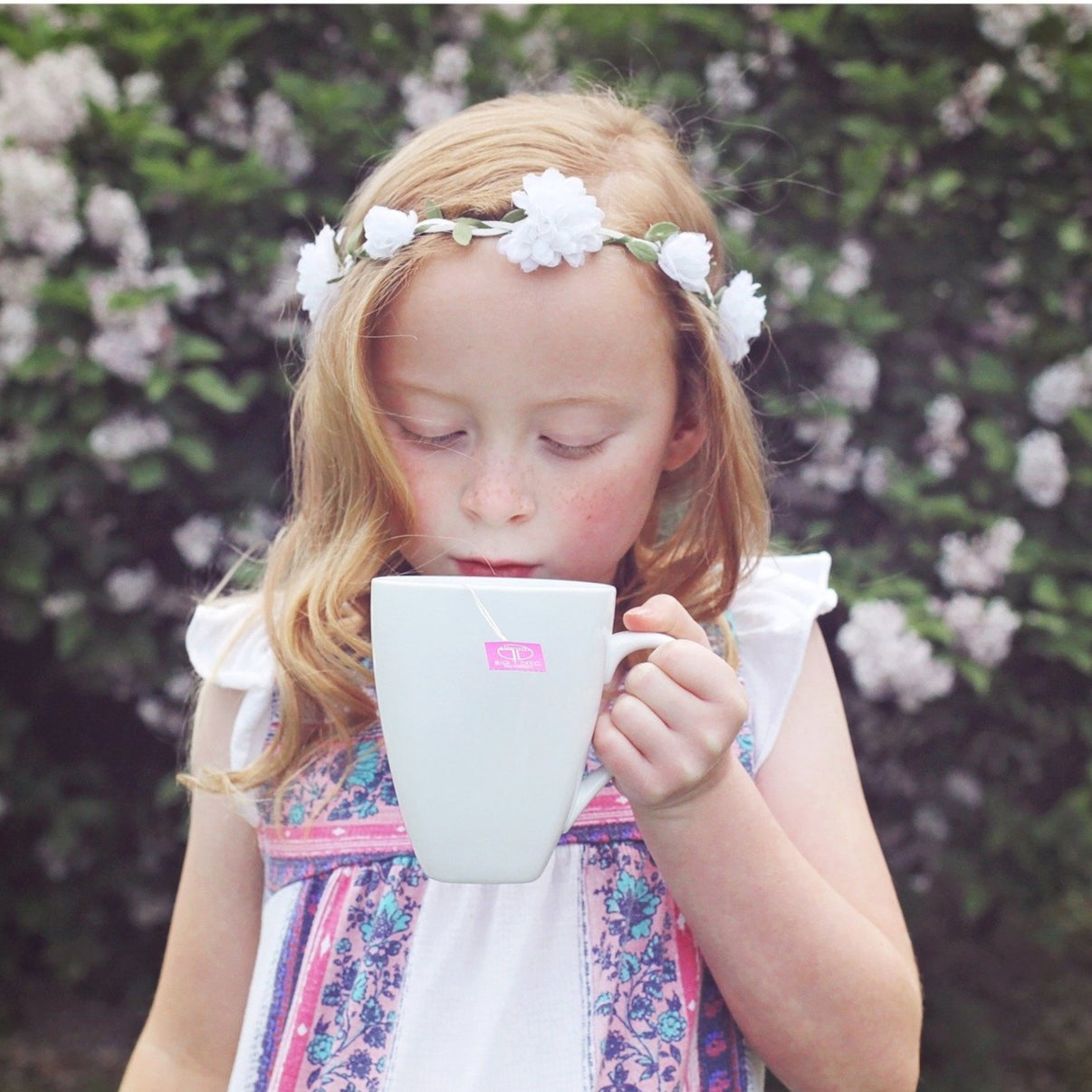 LITTLE T Twisted Watermelon Organic Fruit Tea for Kids | Naturally ...